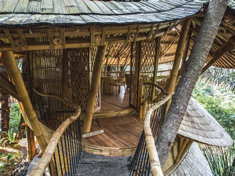 Bamboo Architecture And Design