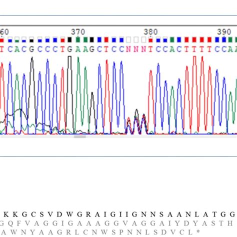 A Dna Sequencing Chromatogram Obtained From Saturation Mutagenesis Download Scientific