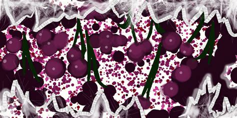 Casioppea User Profile Deviantart