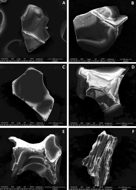 Scanning Electron Microscope Sem Photographs Of Glass Shards A Download Scientific Diagram