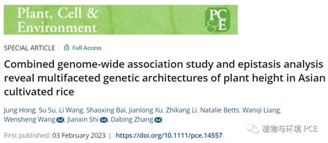 上海交通大学张大兵石建新和中国农业科学院王文生合作通过全基因组关联分析和上位性分析揭示亚洲栽培稻株高多层面的遗传结构水稻qph研究