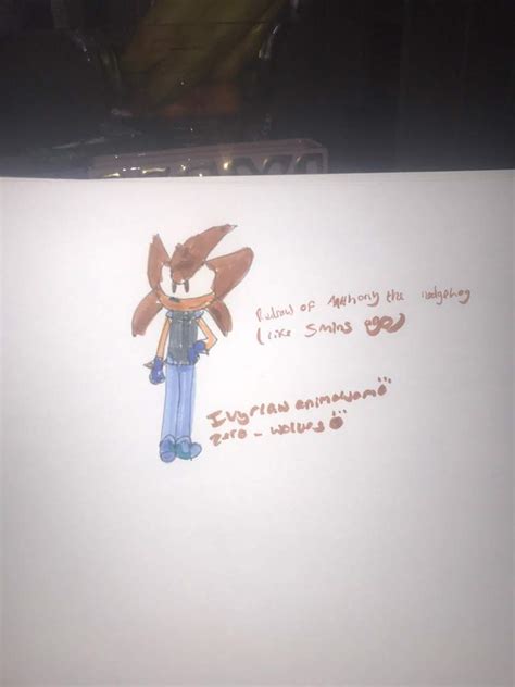 A Doodle I Did For Anthony The Hedgehog Sonic Rpandart Amino