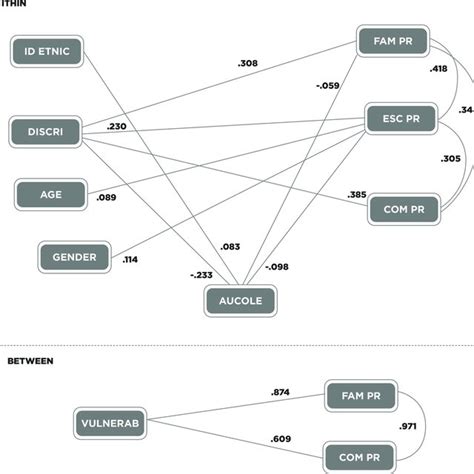 Primary Path Analysis Model Of Contextual Problems With Their