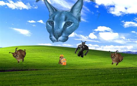 Windows Xp Meme Floppa Windows Xp Cat Windows Xp Fanart Windows Xp