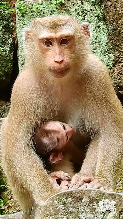 Flora And Floran Youtube