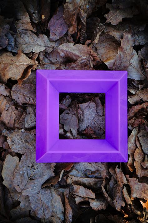 Bosque Chica Caliente Naturaleza Foto Gratis En Pixabay Pixabay