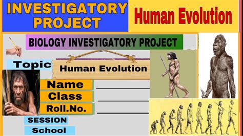 Investigatory Project—human Evolutionevolution Of Manclass 12