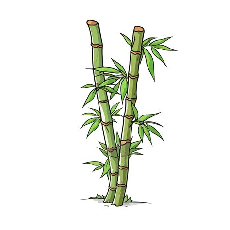 Premium Vector Cartoon Bamboo On A White Background Hand Drawn Cartoon