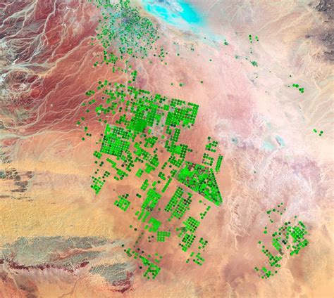Us Geological Survey Usgs Seal Pup Kisses — Seriouslyhow
