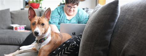 5 Wordpress Maintenance Tasks So Your Site Runs On Autopilot • Laugh