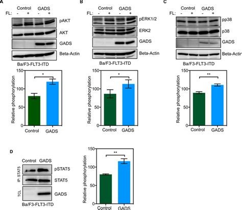 Gads Expression Enhances Flt3 Itd Induced Stat5 Signaling Ad Download Scientific Diagram