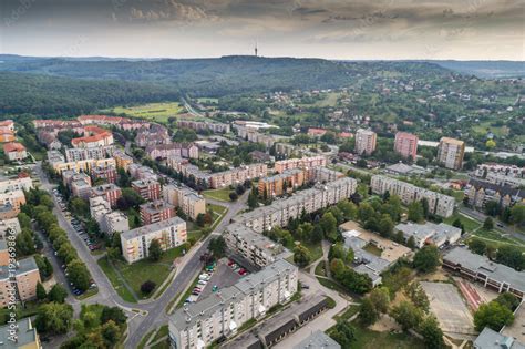 Zalaegerszeg - Priscila Gifford
