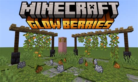 How To Grow Glow Berries In Minecraft Beebom