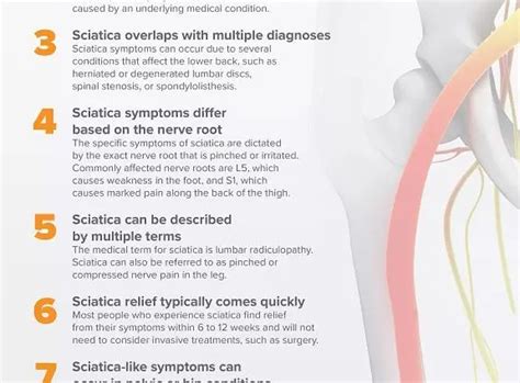 Sciatica Which Exercises Will Help Heal Sciatica Causes And Symptoms