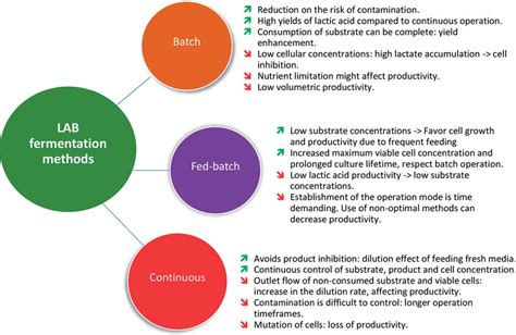 What Is The Purpose Of The Fermentation Lab At Owen Griver Blog