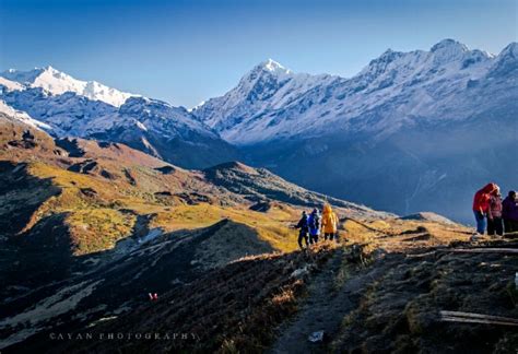 Goechala Trek Guide Itinerary Ticket Price Activities To Do Around