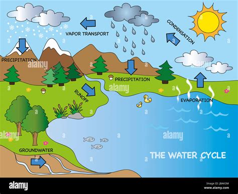 Water Cycle Diagram Labeled With Infiltration
