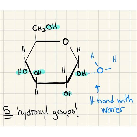 Hydrocolloids An Innovative And Essential Gluten Replacer Gluten Free Diyers