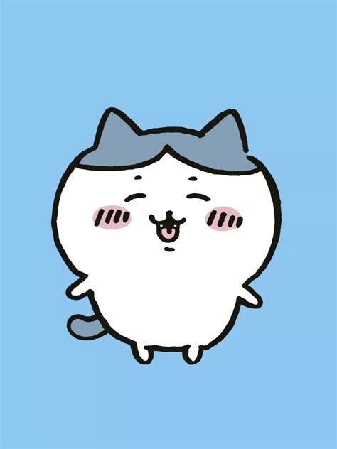 Chiikawa Wallpapers Wallpaper Cave