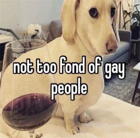 Homophobic Dog Aka Whitney Chewston A Gay Icon