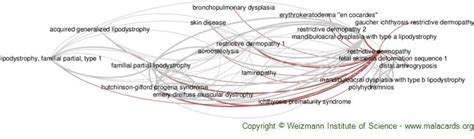 Restrictive Dermopathy Disease Malacards Research Articles Drugs