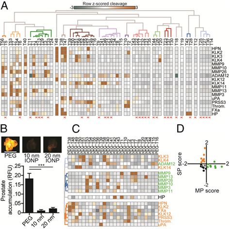 Figure 1 From Classification Of Prostate Cancer Using A Protease