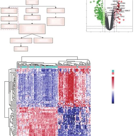 Overview Of The Study Design Gene Expression Profiling And