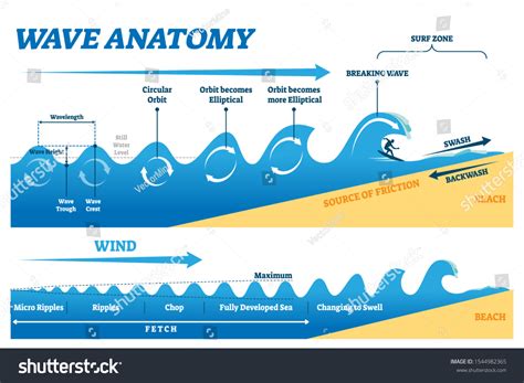 Wave Diagram Labeled Untpikapps 1 Draw A Picture Of A Wave And Label