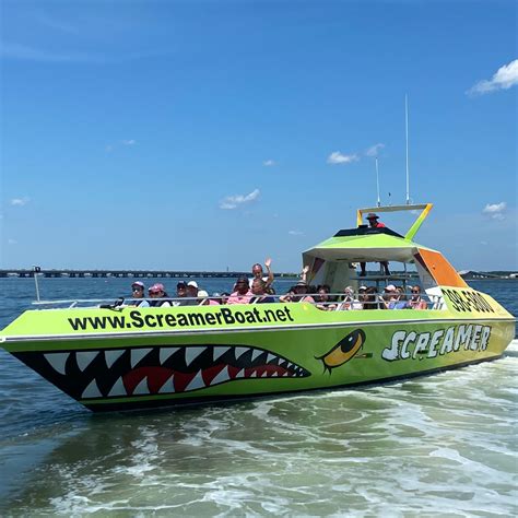 Screamer Speedboat Rides And Dolphin Sightings Nj Ocean City Boat Rides