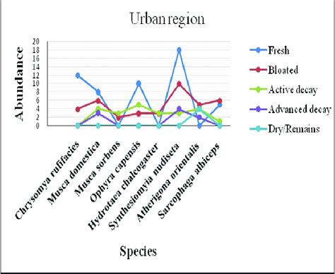 Comparative Analysis Of Relative Abundance Among The Fly Species On
