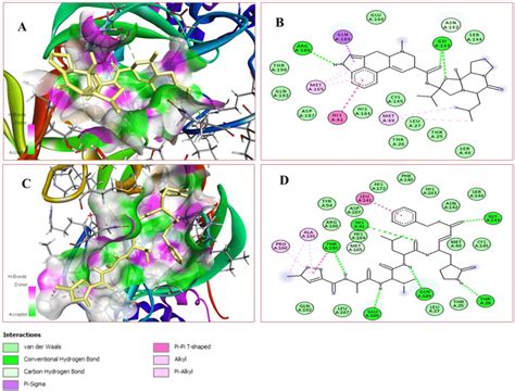 3d Structure Interaction Of Ligand Protein At The Left Side And 2d