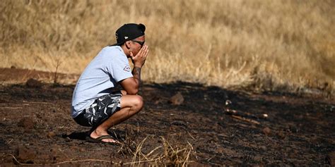 Everybody Knew The Invasive Grass Of Maui Posed A Deadly Fire Threat