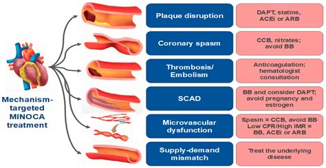 Minoca One Size Fits All Probably Not—a Review Of Etiology