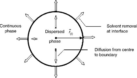 Schema Of Mass Transfer Model In One Single Drop Of Polymer And