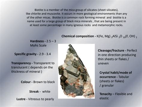 Infographic Of Biotite In Geotechnical Engineering Pptx
