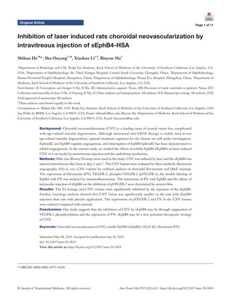 Download Pdf Inhibition Of Laser Induced Rats Choroidal Neovascularization By Intravitreous