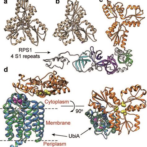 Isph Structures And Isphfusion Protein Structure Predictions A