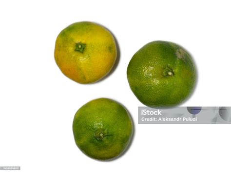 Unripe Tangerine Green Tangerines On A White Background Sour Fruit