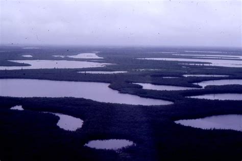 Delta Plain Archives Geological Digressions