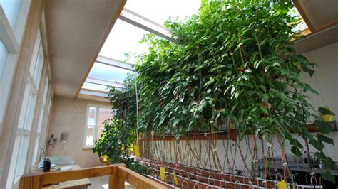 What Is Agritecture — Agritecture