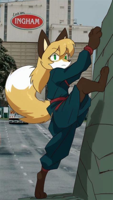 The Big Imageboard Tbib Anthro Averi Fiddleafox Brown Body Brown