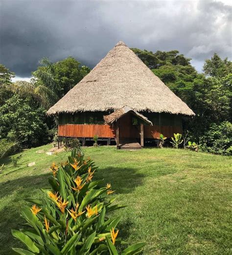 Best Ayahuasca Centers And Retreats In Peru For 2025