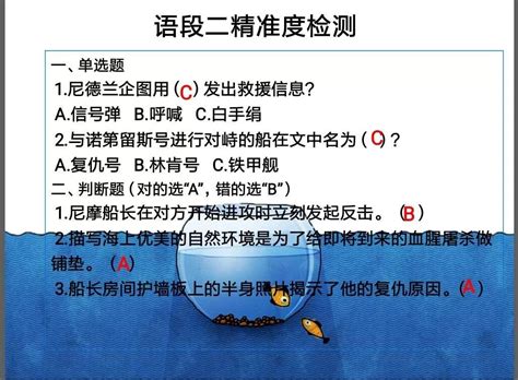 《海底两万里》如何速读？紫金港中学韩雨晌老师带你 探海寻宝”啦！ 搜狐大视野 搜狐新闻