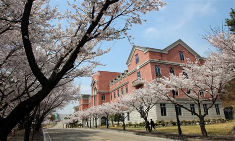 信韩大学百度百科