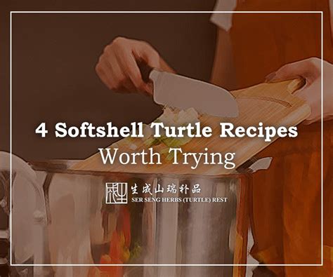 4 Softshell Turtle Recipes Worth Trying Ser Seng Herbs Turtle Restaurant