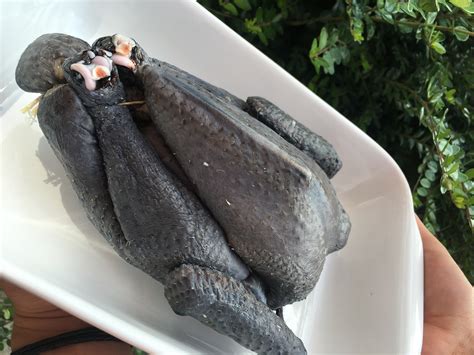 Clare Connell Clare Connell Twitter