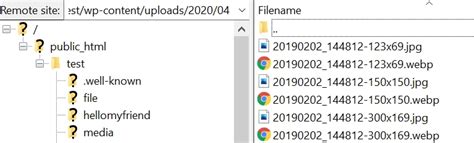 how to create and serve webp files using shortpixel image optimizer