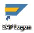 Qué Es El Sap Logon Consultoría Sap