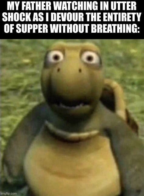 My Life In A Nutshell Imgflip