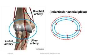 Anatomy Of Joints Pdf